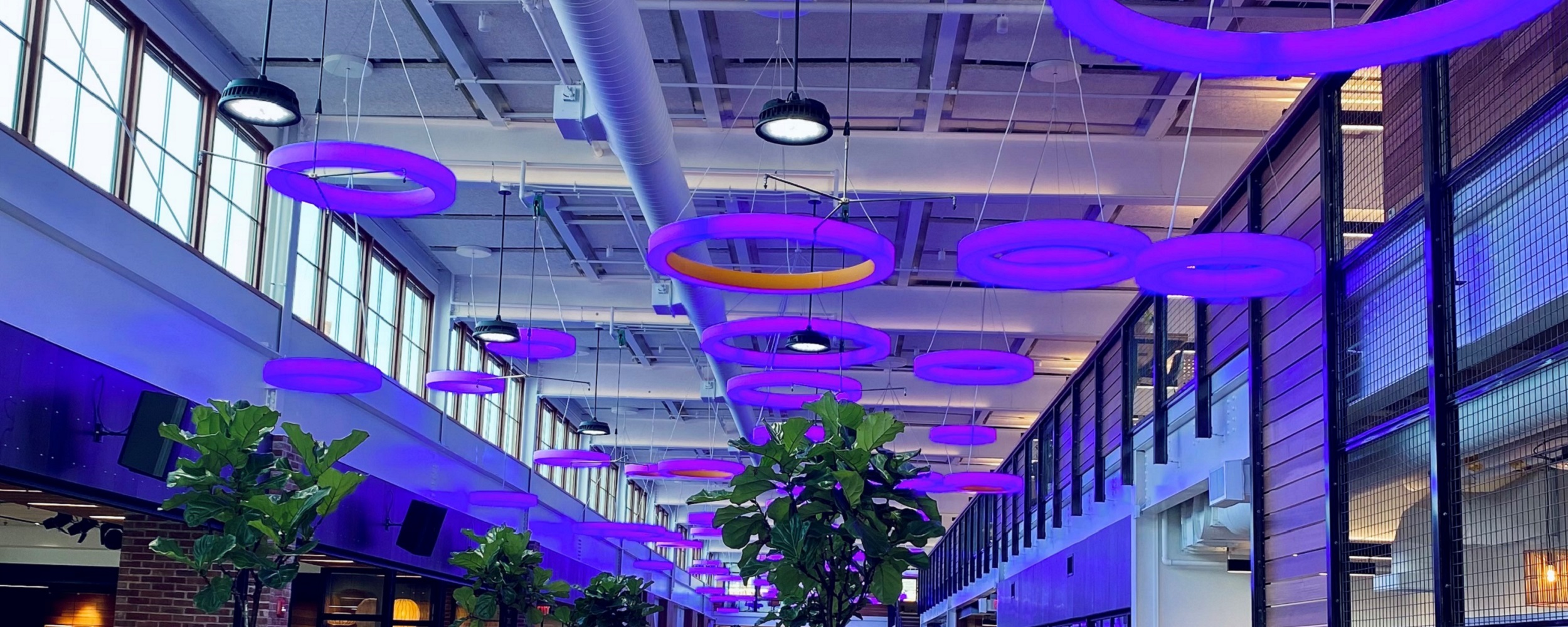 Northern New England's Lighting Solutions Provider